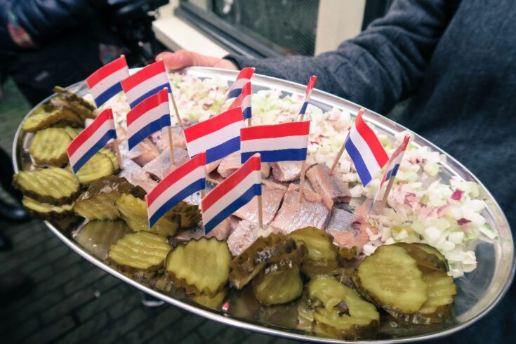 10+ Amsterdam Food & Drink Experiences You MUST Try! (2024)