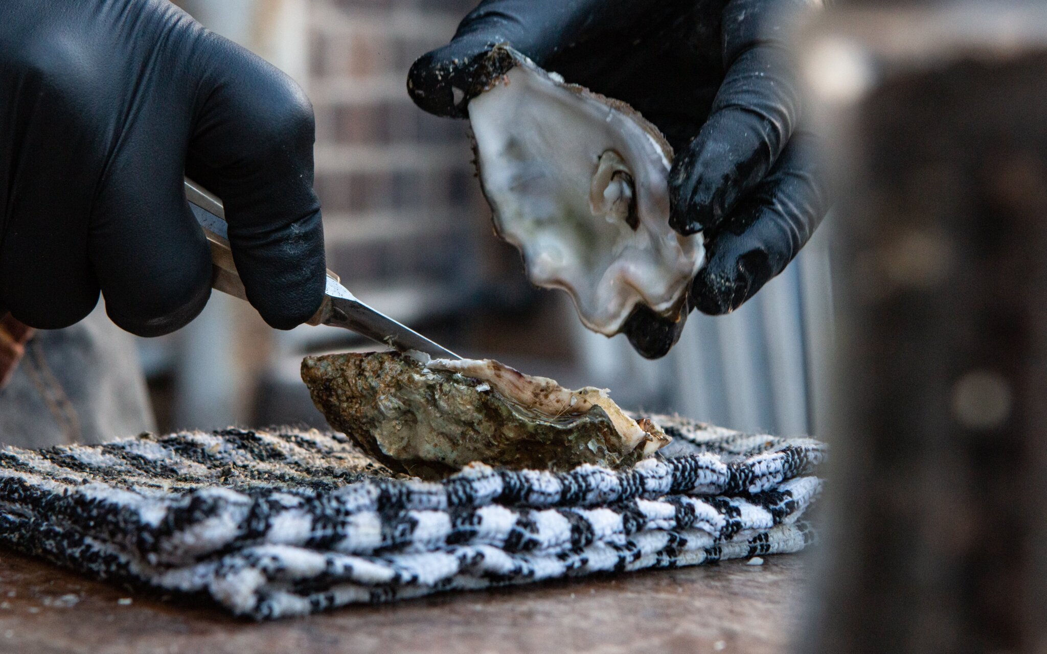 15 Unique & Fun Things to do in Long Island, New York