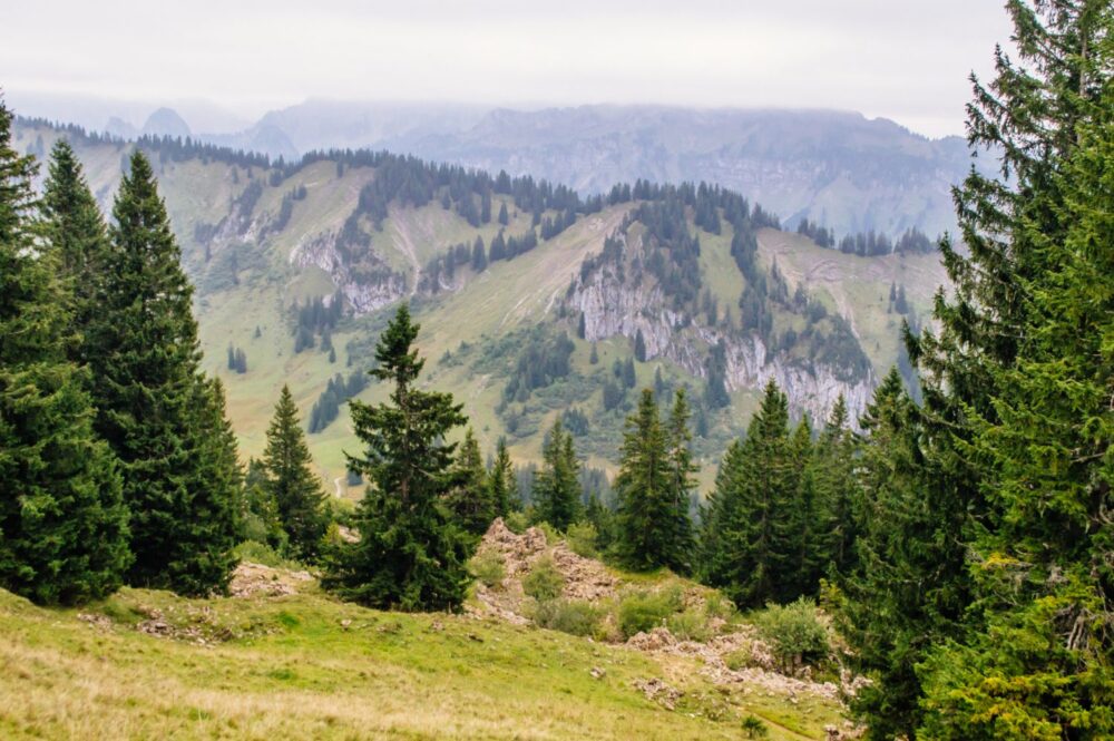 21 Photos of Bregenzerwald, Austria that Will Ignite Your Wanderlust
