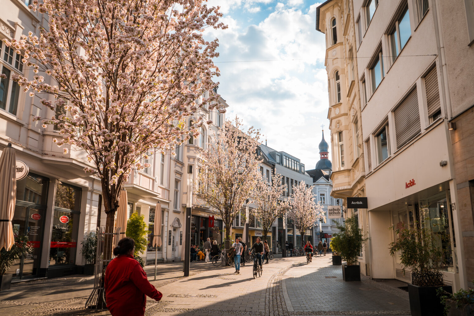 Where to Find Cherry Blossoms in Bonn, Germany [Photo Spots, Tips & More!]