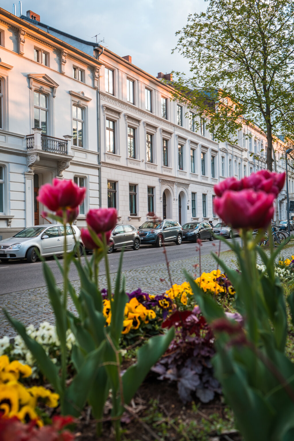 13 Unique & Fun Things to Do in Bonn, Germany