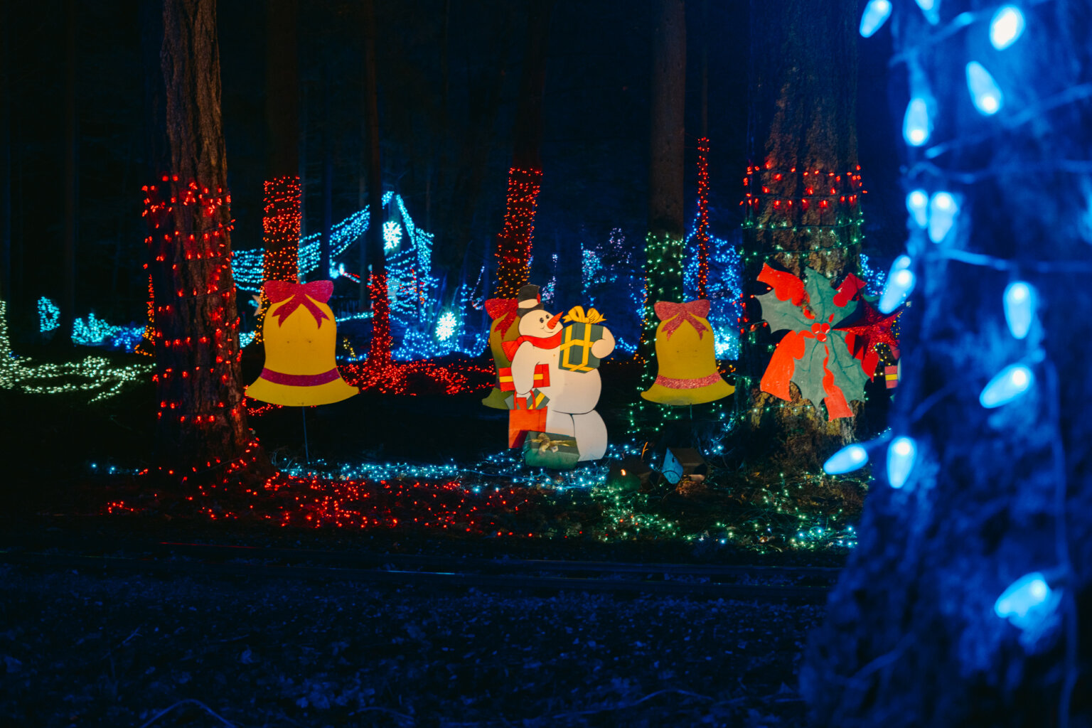 The Most Magical Vancouver Holiday Must Dos Festive Things To Do In
