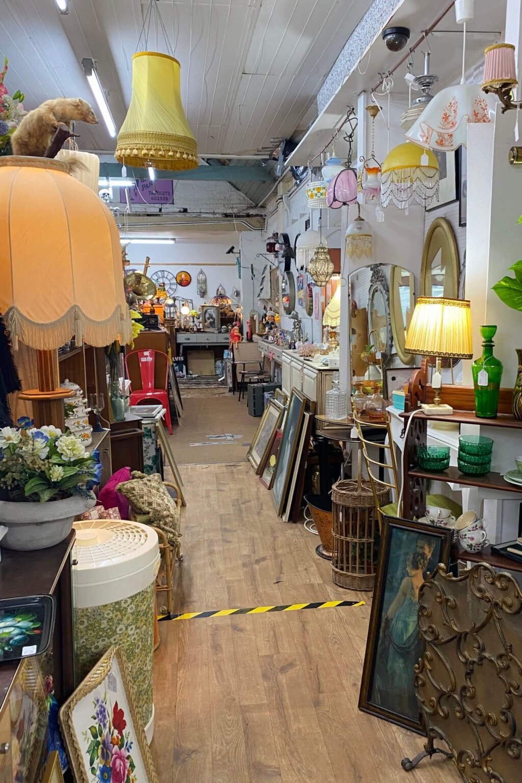 19 Unique & Fun Things to Do in Brighton, England