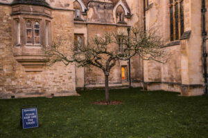 26 Unique & Fun Things to do in Cambridge, England