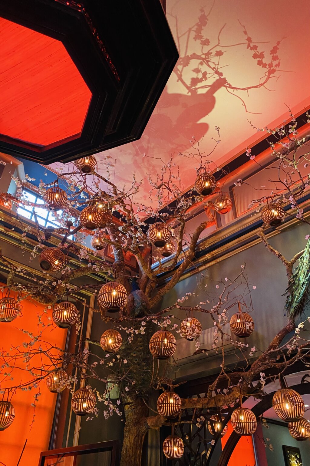 17 Unique & Fun Things to do in Poole, England