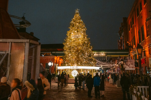 Christmas in Toronto: 11 Delightful Things to Do (Markets, Lights & Day ...
