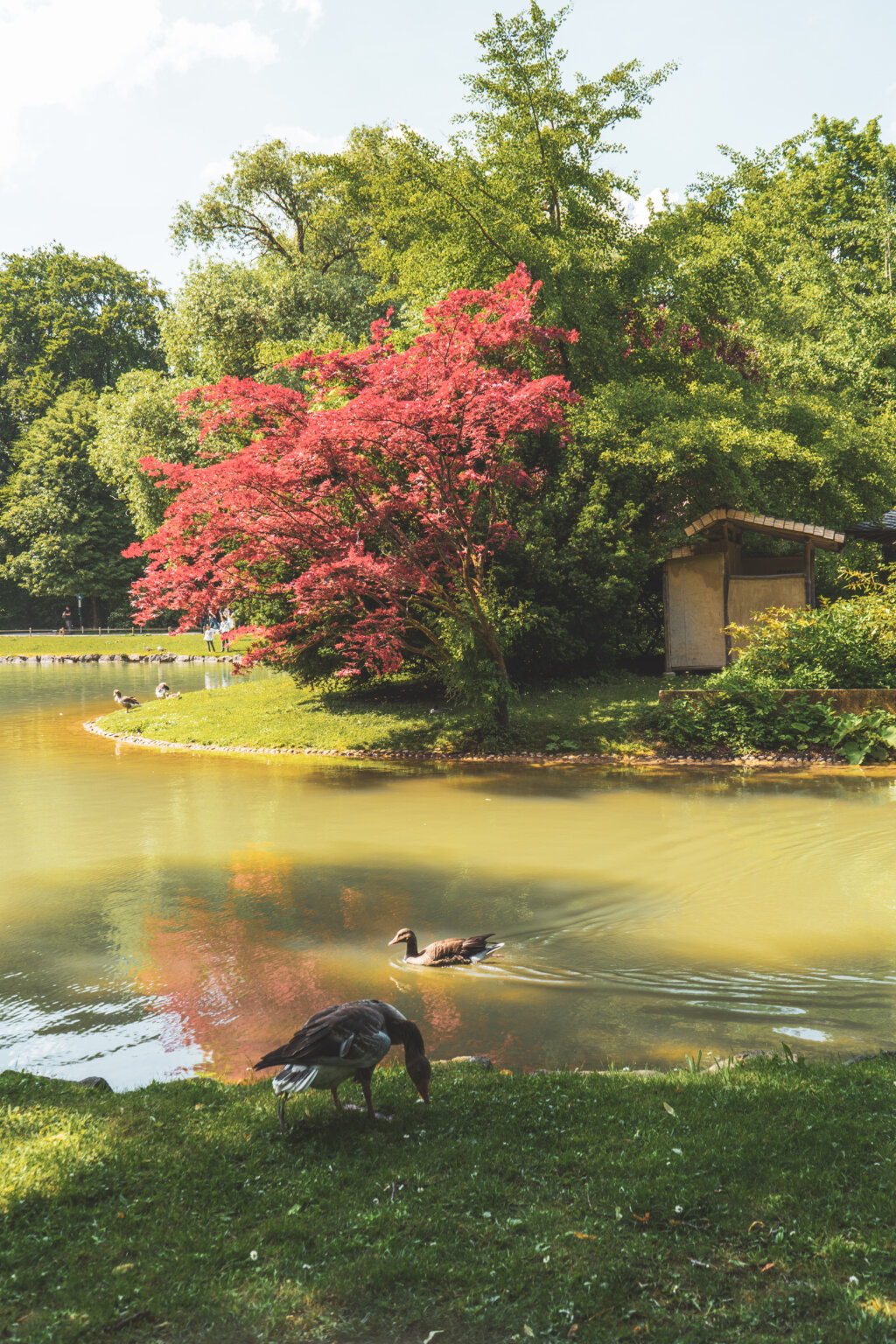 How to Spend Three Days in Munich: An Efficient, Fun-Filled Itinerary!