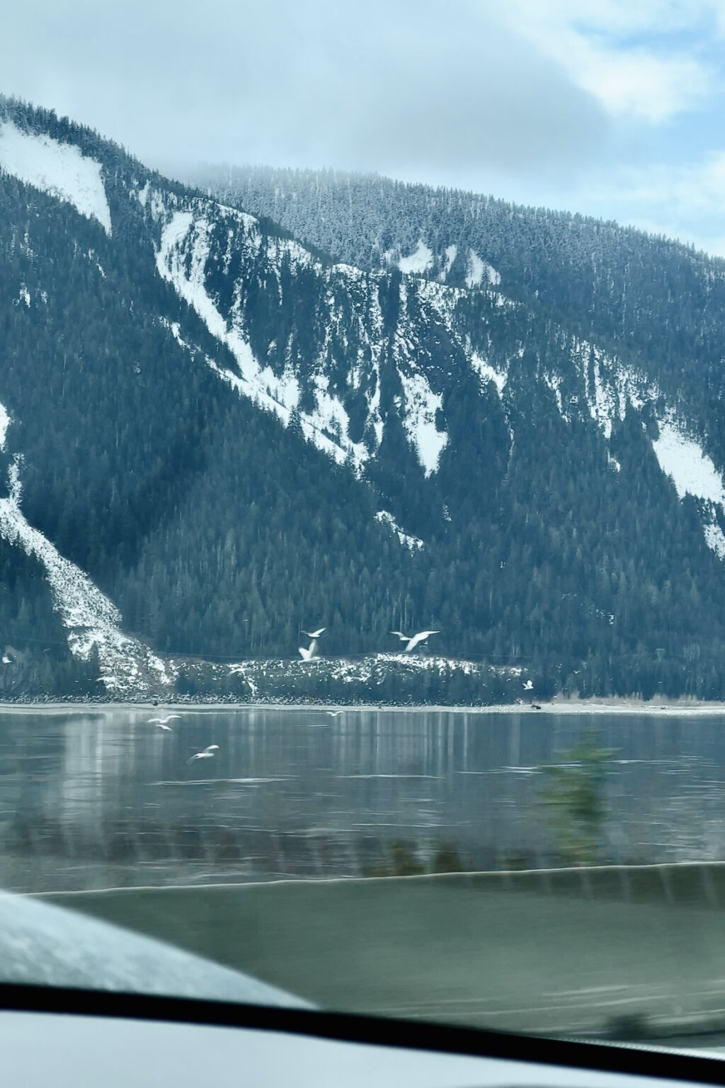 13 Unique & Fun Things to Do in Terrace, BC