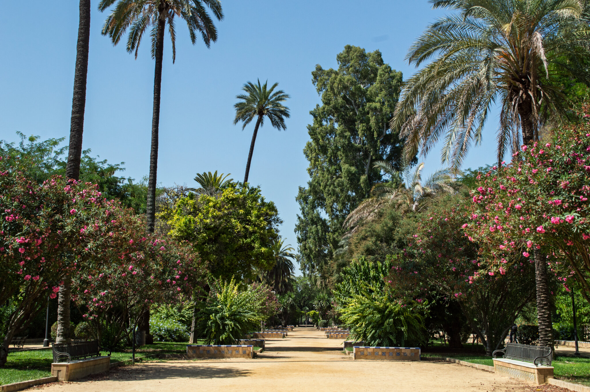 23 Unique and Fun Things to do in Seville, Spain