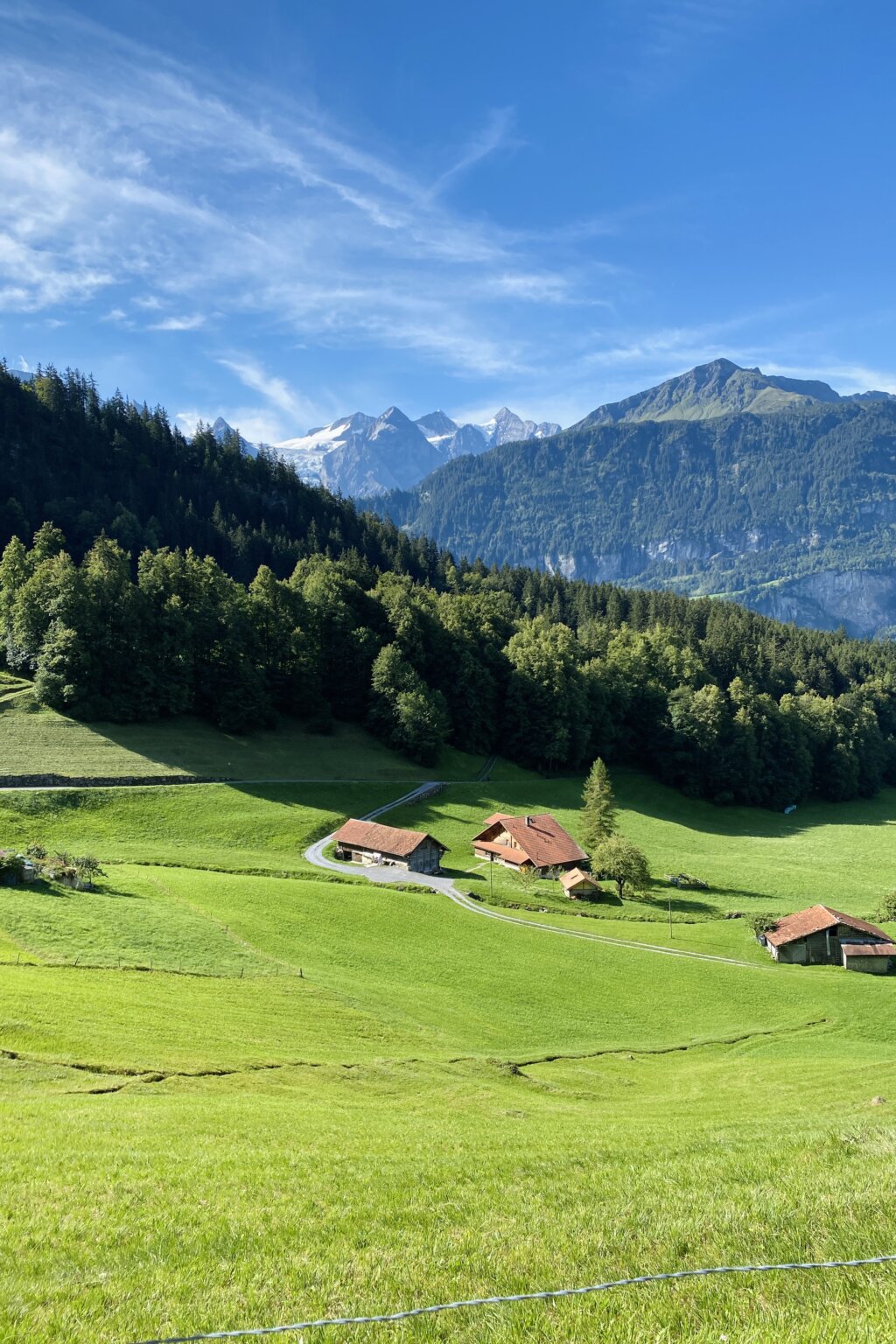 7 Unique and Fun Things to do in Meiringen, Switzerland