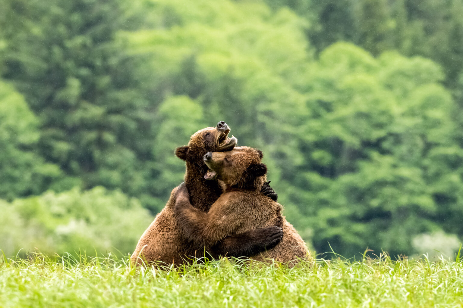 14 Unique & Fun Things to Do in Prince Rupert, BC