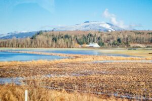 [YVR to Seattle Bus Review] Honest Quick Shuttle Bus Experience