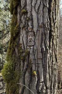 13 Unique & Fun Things to Do in Terrace, BC