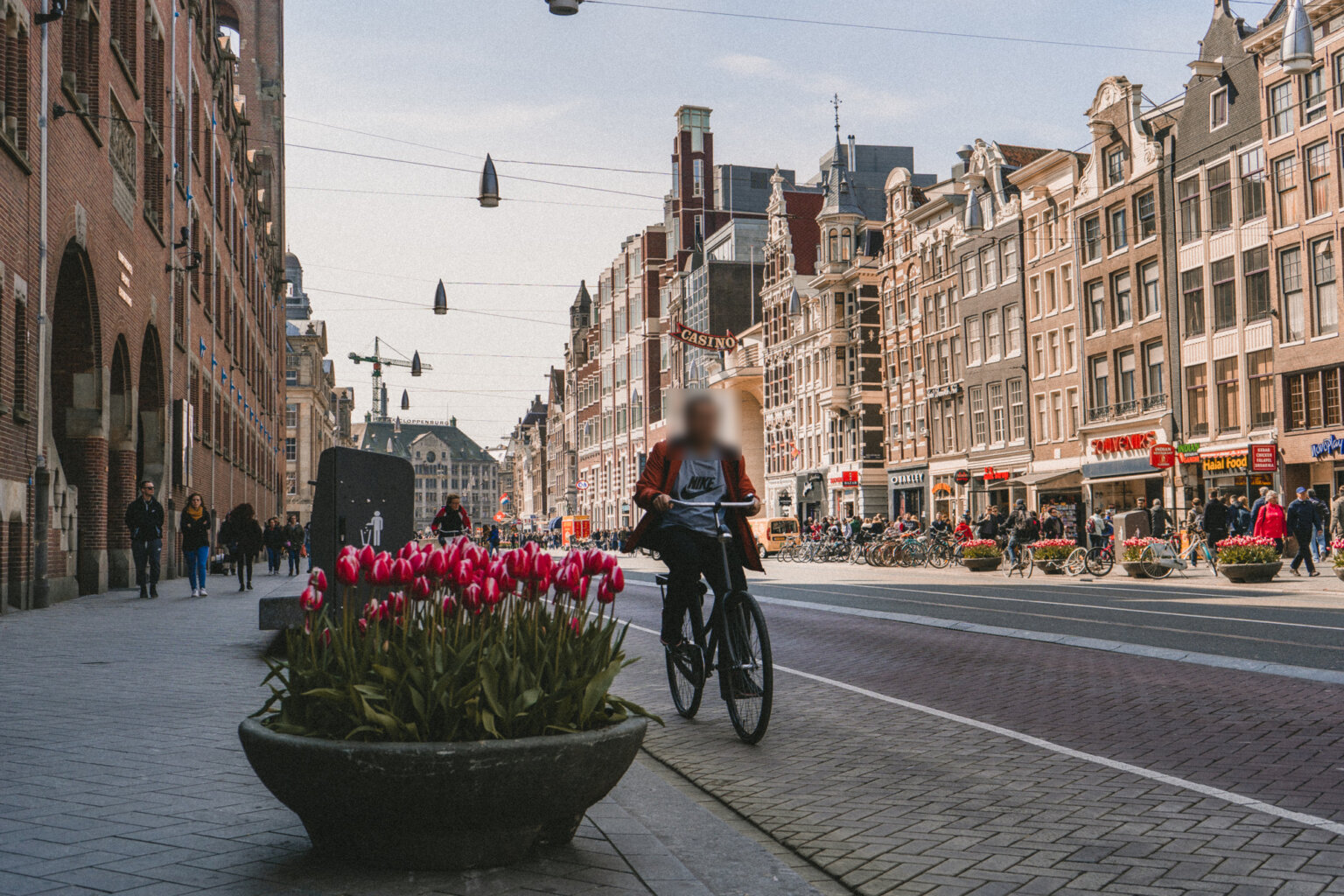 35 Amsterdam Travel Tips for First Timers & Must Knows Before You Go