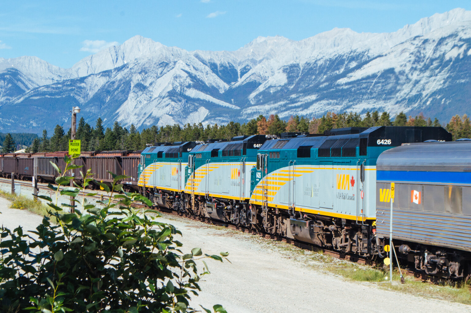How to Take the Train in Canada: A Step by Step Guide!