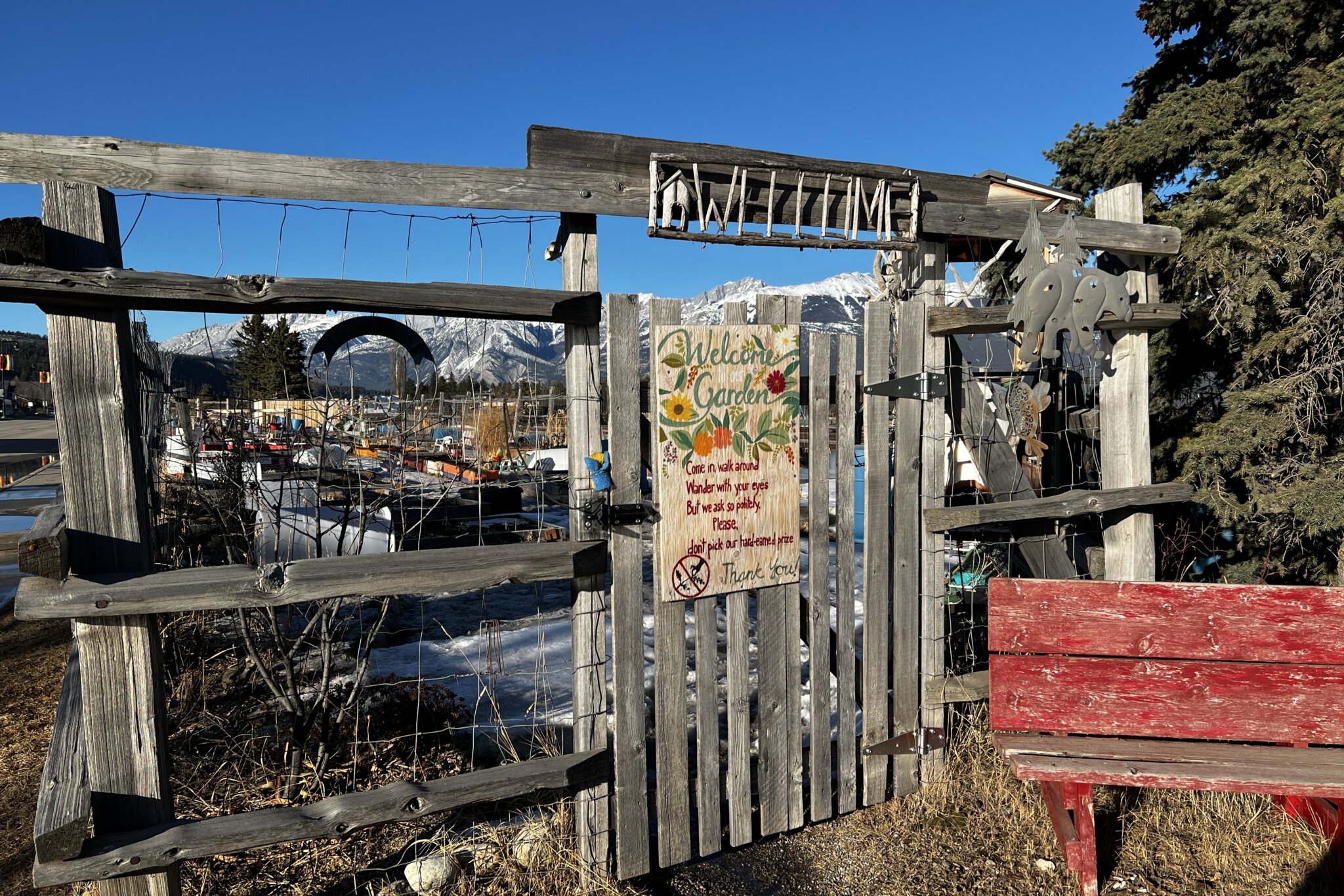 20 Unique & Fun Things to Do in Jasper, AB (Without a Car)