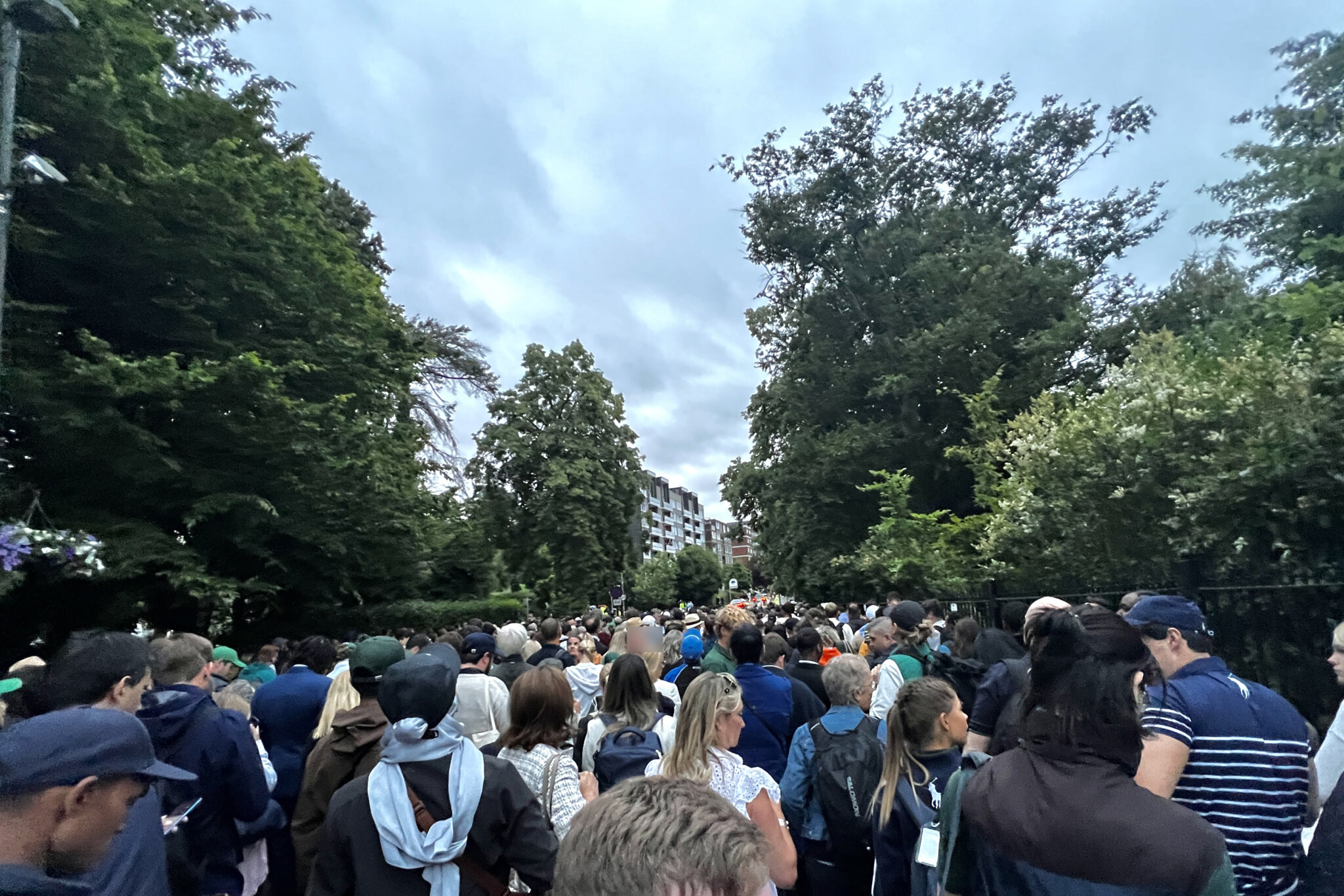 Wimbledon for First Timers: How to Get Tickets, What to Wear & More!