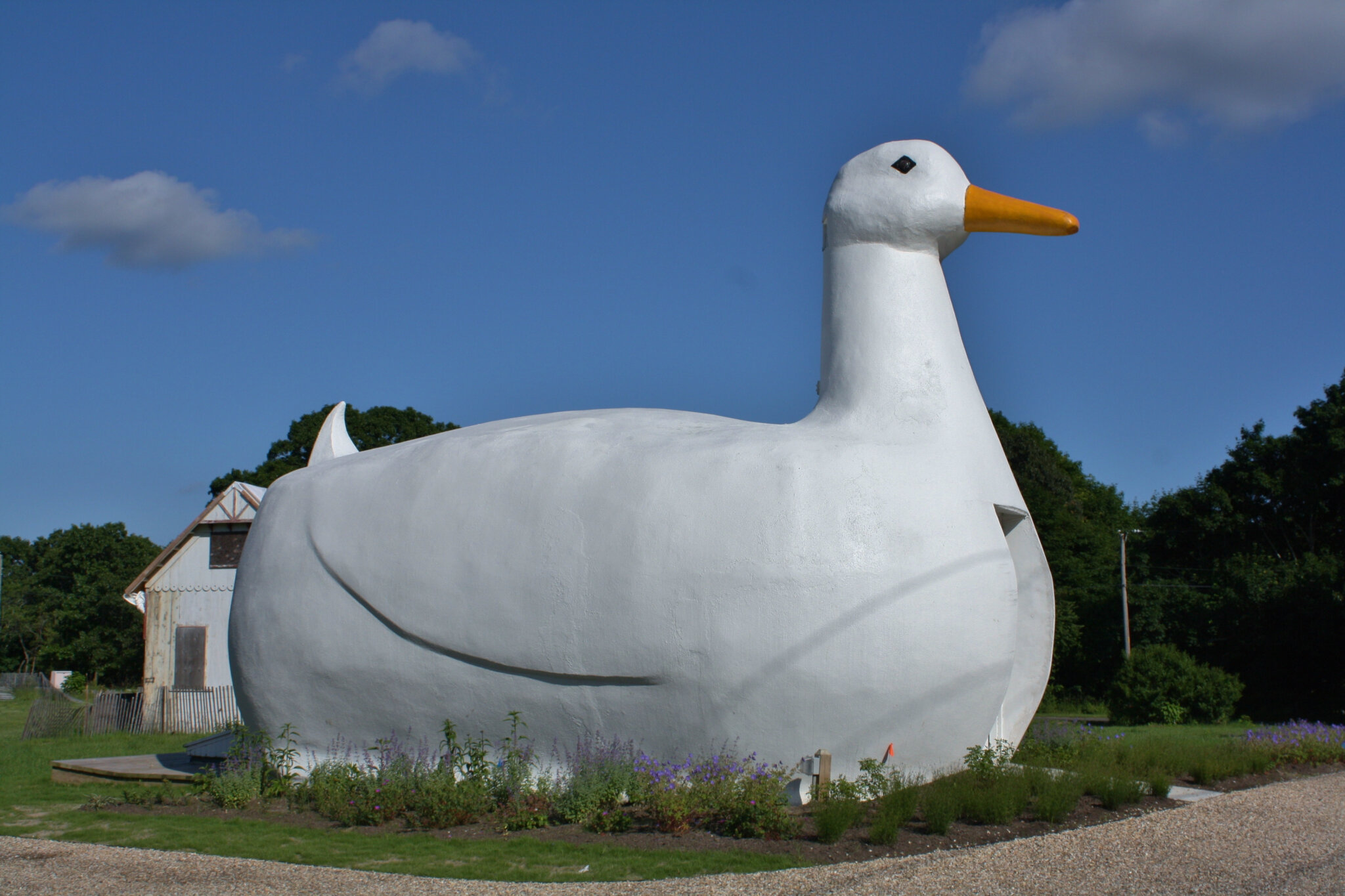 15 Unique & Fun Things to do in Long Island, New York