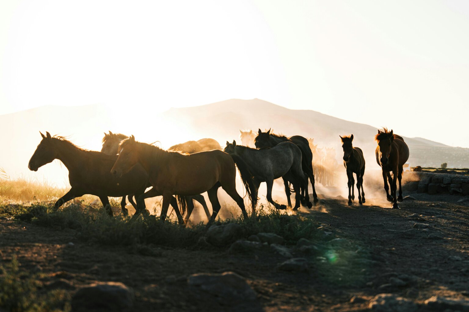 20+ Interesting & Fun Facts About Nevada (Most Visitors Don't Know!)