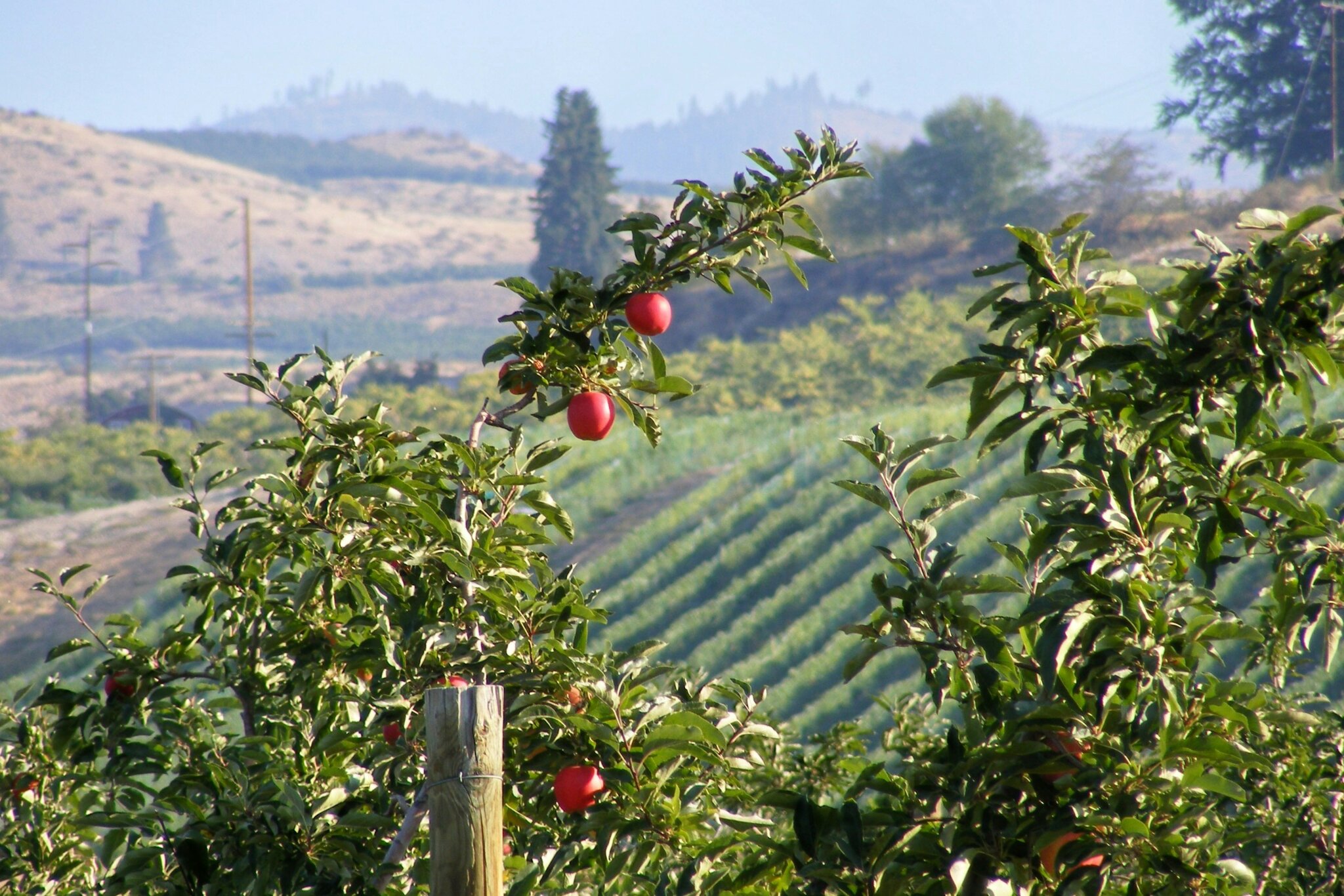 20+ Interesting & Fun Facts About Washington State (That Most Visitors ...