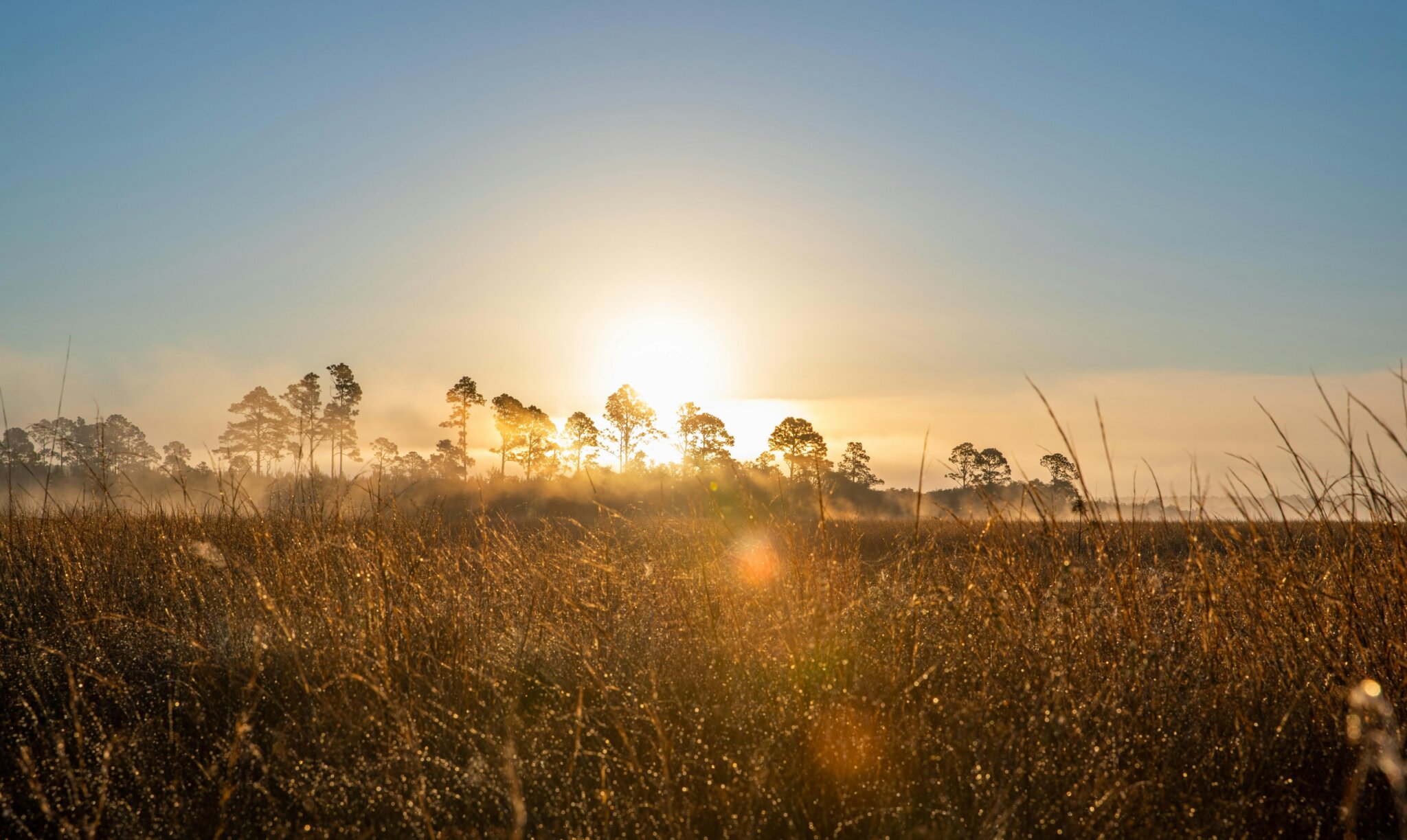 20+ Interesting & Fun Facts About Florida (That Most Visitors Don't Know!)