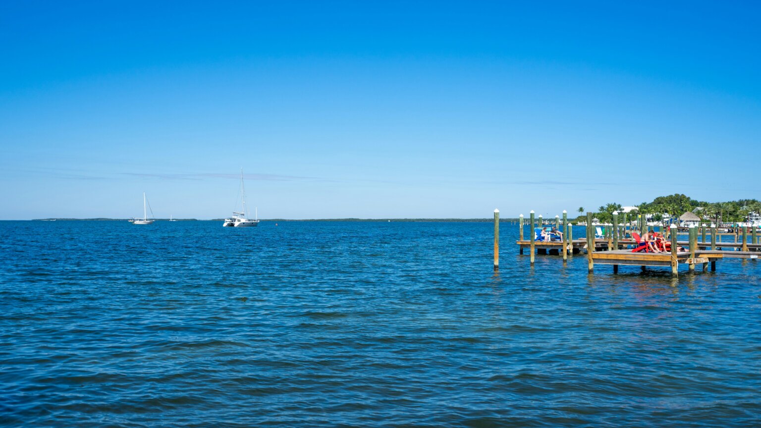 20+ Interesting & Fun Facts About Florida (That Most Visitors Don't Know!)
